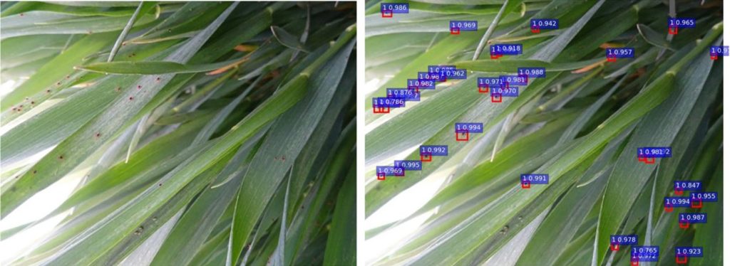 Computer Vision & Pattern Recognition - IEEE Computer Society Sri Lanka ...